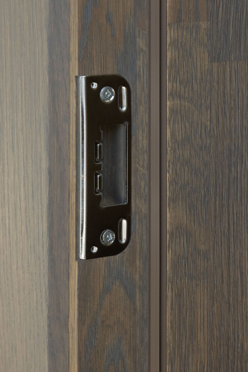 Drzwi wewnętrzne D1F1VS 3477 Grafit - Styl Drzewa